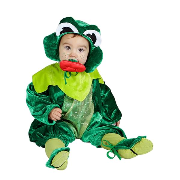 Disfras de sapo - Imagui